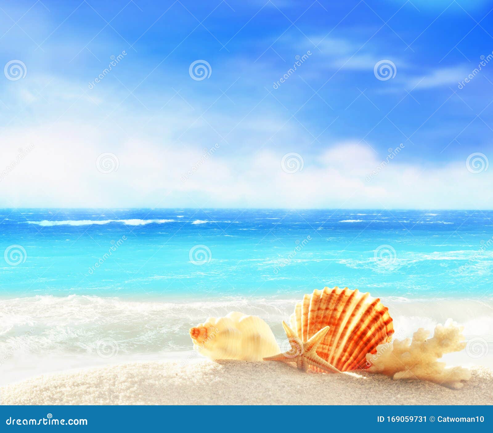 Landscape with Shells on Tropical Beach. Summer Concept Stock Image ...