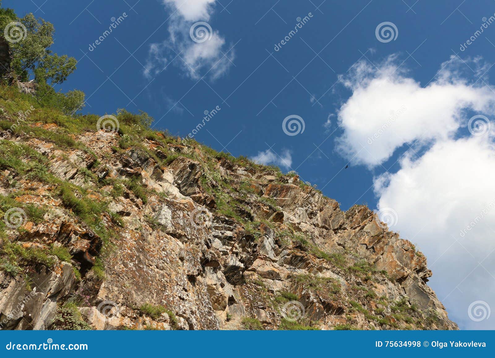 Landscape stock photo. Image of view, altai, river, shoria - 75634998
