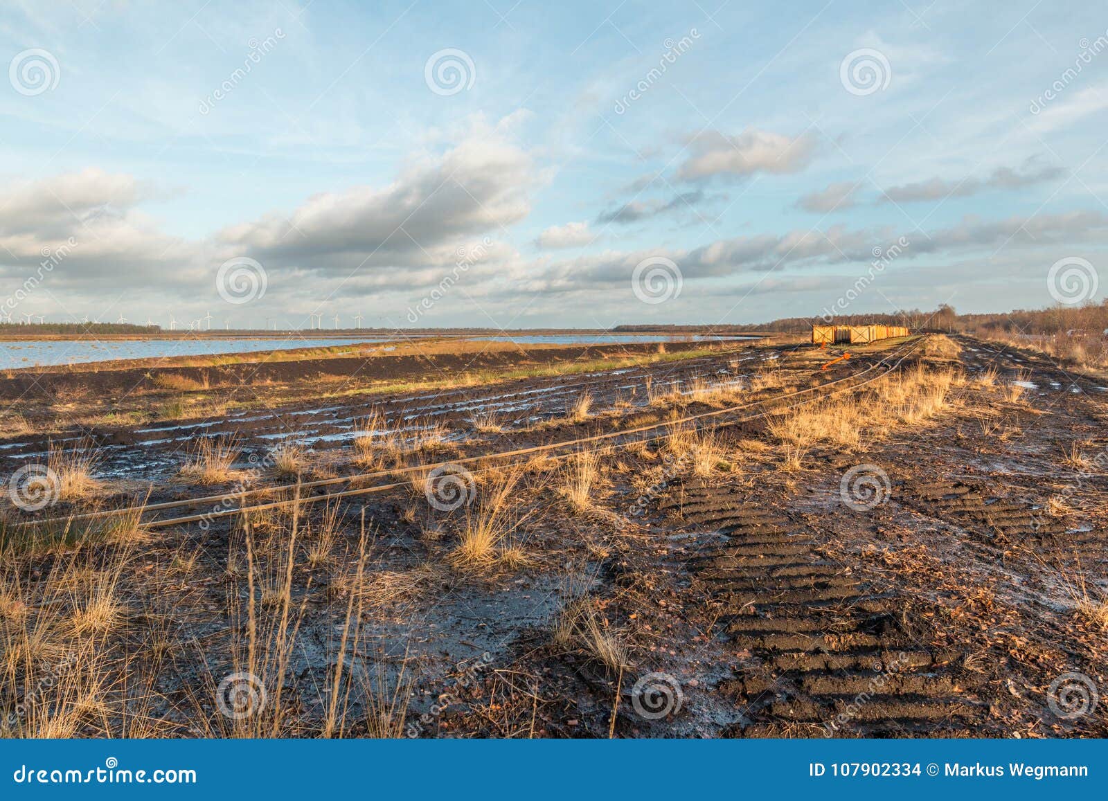 Landscape Shot with Tracks and Points System of a Moor Train Stock ...