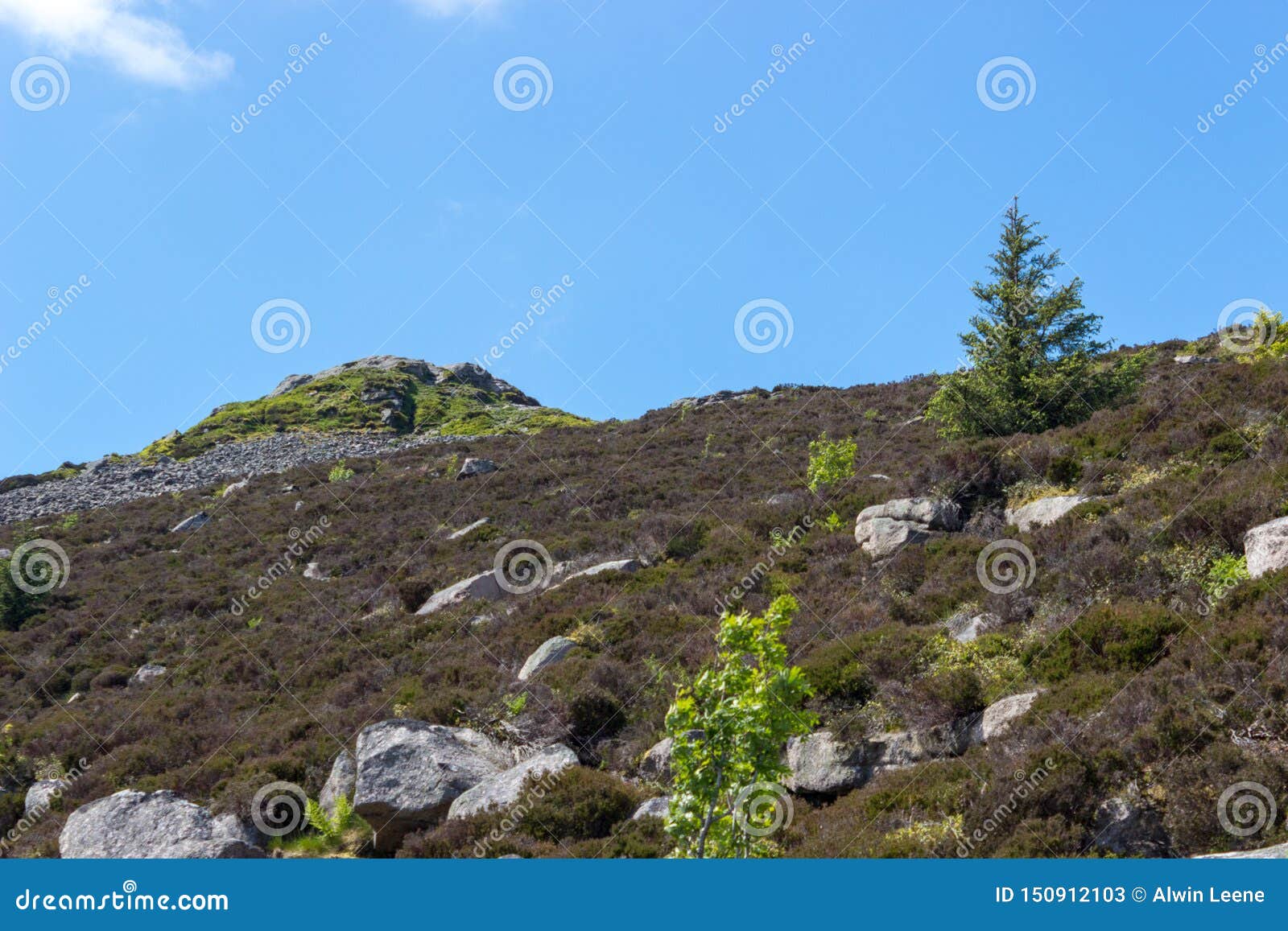 Landscape of the Side of Bennachie, Scotland Stock Image - Image of ...