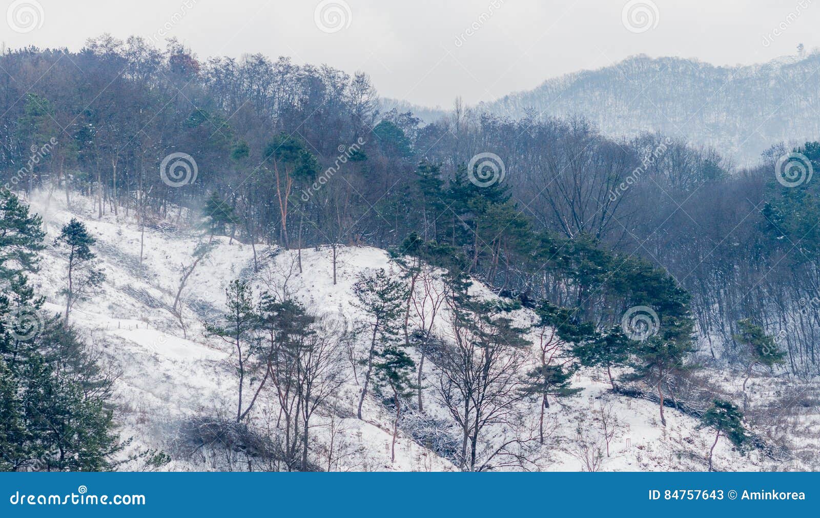 Landscape of the Side of a Mountain Covered in Snow Stock Image - Image ...