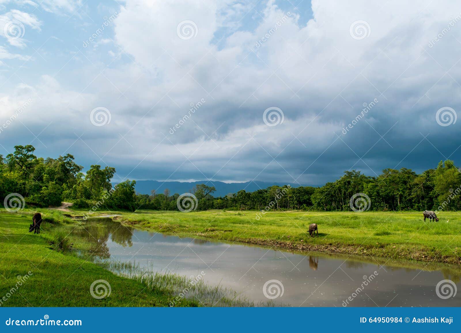 Khageri River Stock Photos - Free & Royalty-Free Stock Photos from ...
