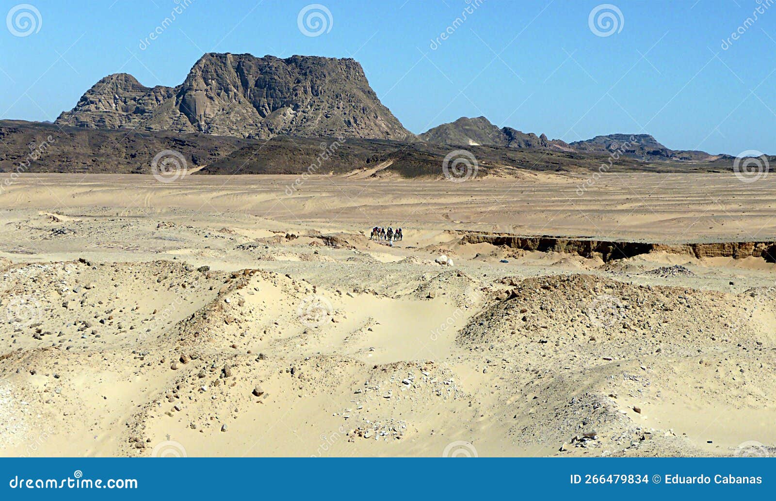 Landscape of the Sinai Desert, Egypt Stock Photo - Image of dawn ...