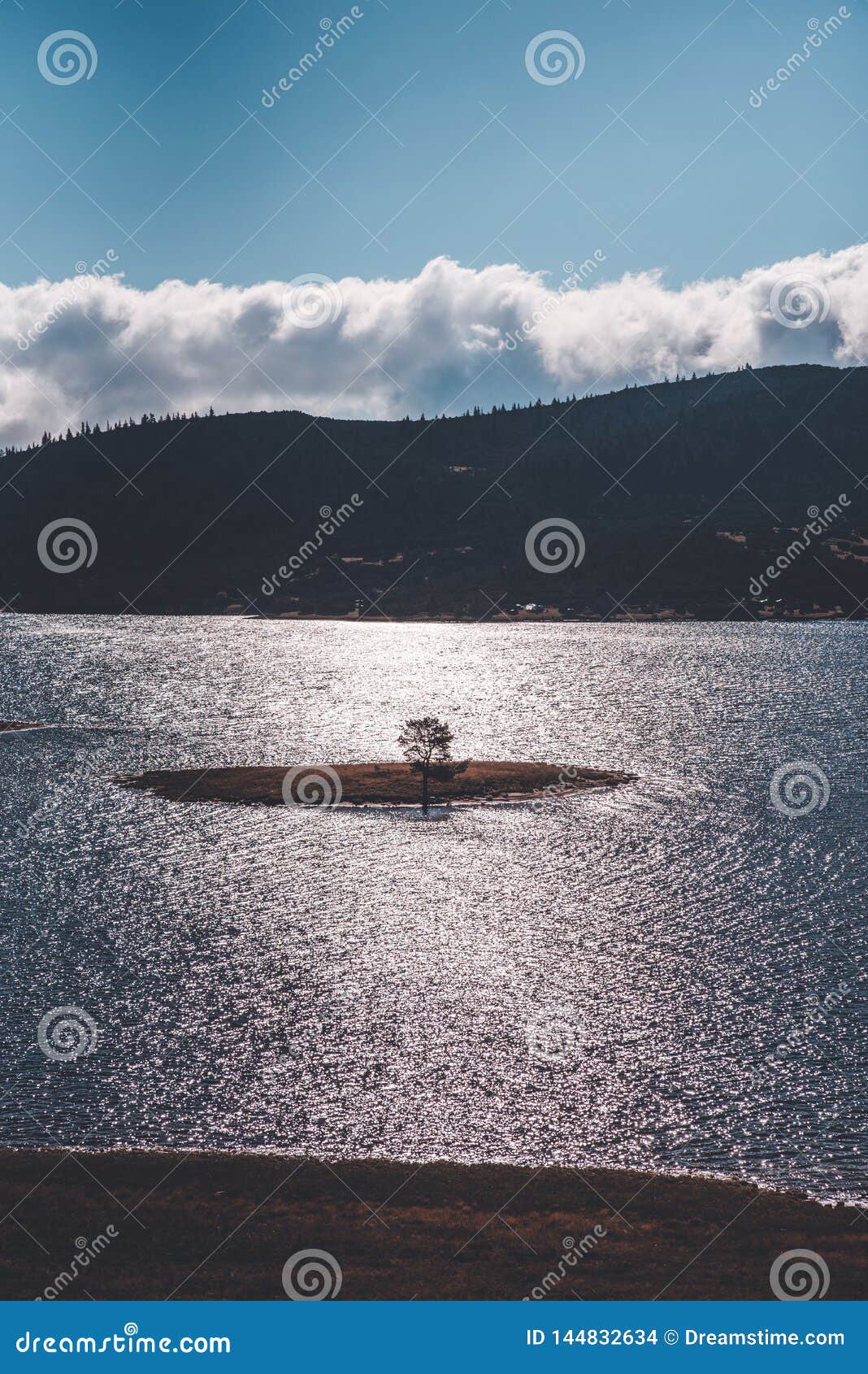 Landscape with a Single Tree on an Island Stock Photo - Image of fields ...