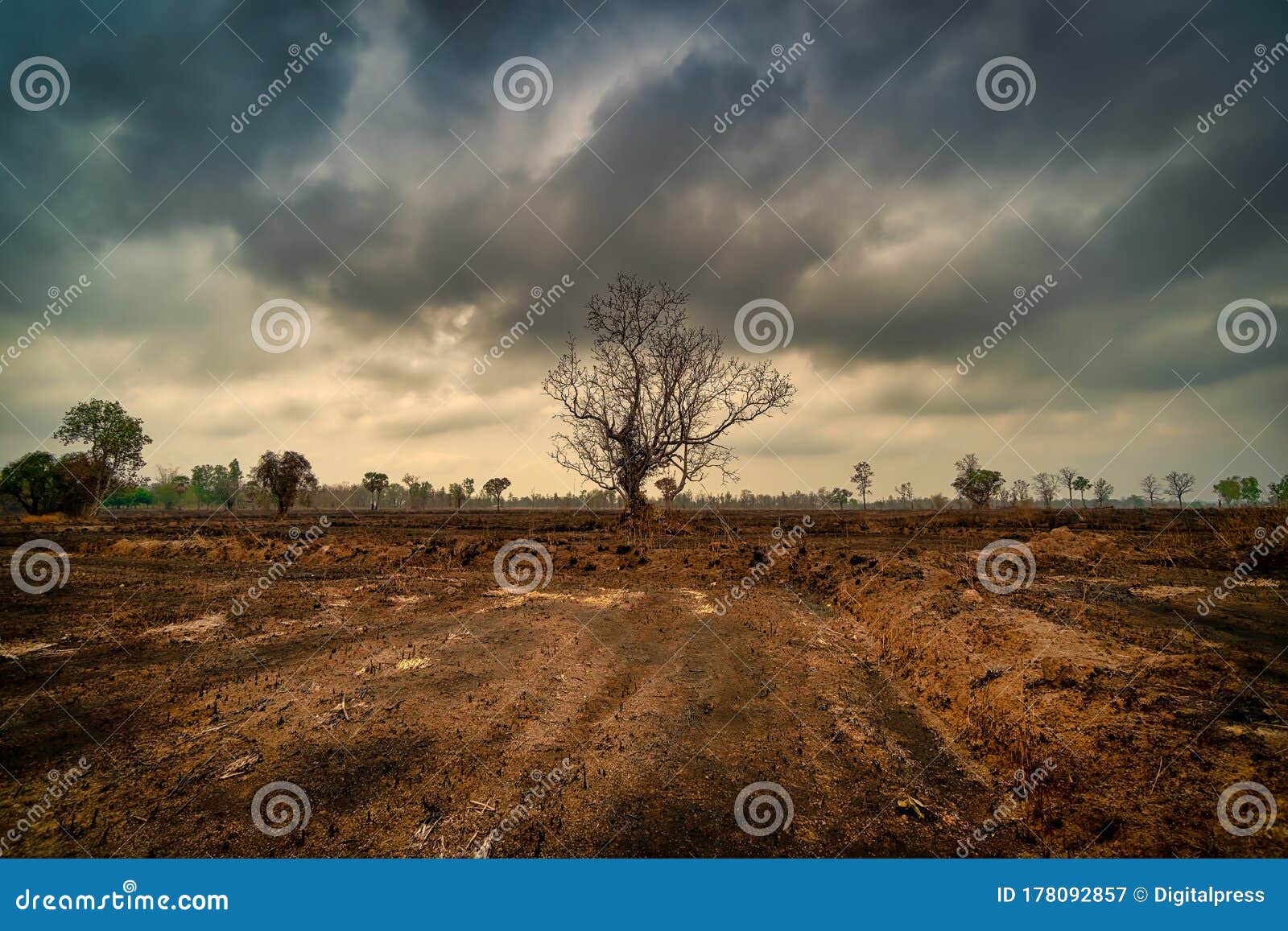Landscape after Slash and Burn Stock Image - Image of dramatic, slash ...