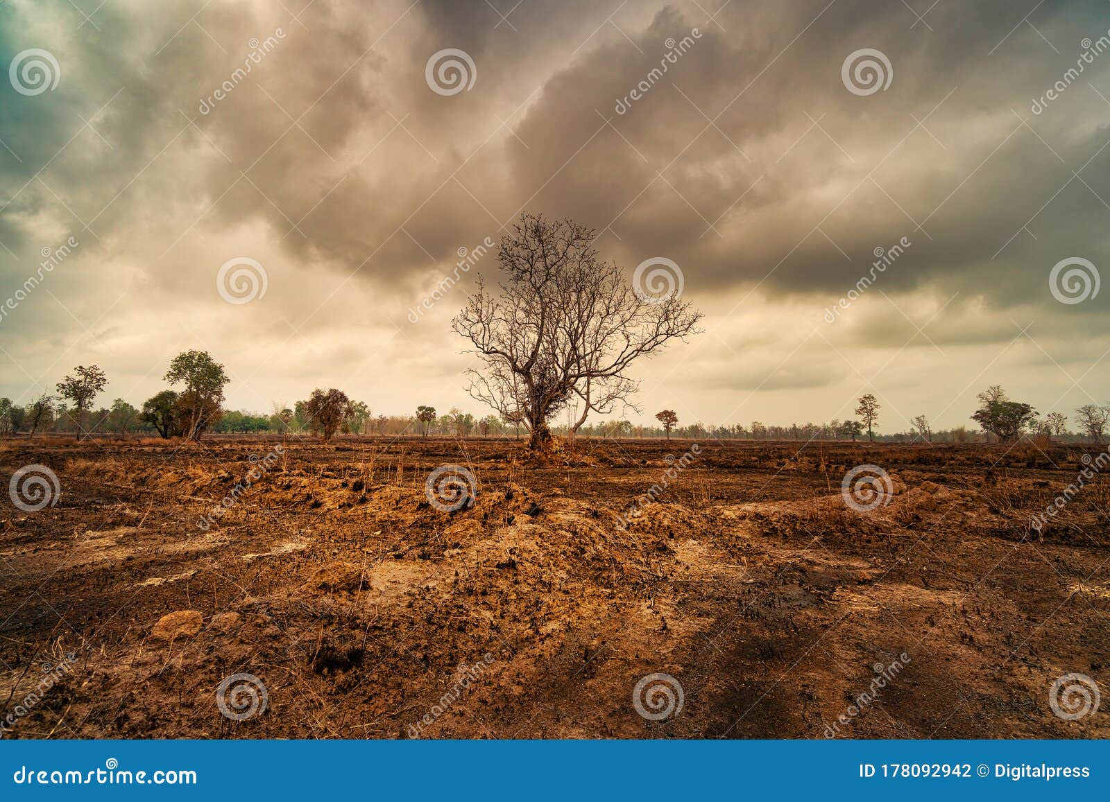 Landscape after Slash and Burn Stock Photo - Image of dramatic, nature ...