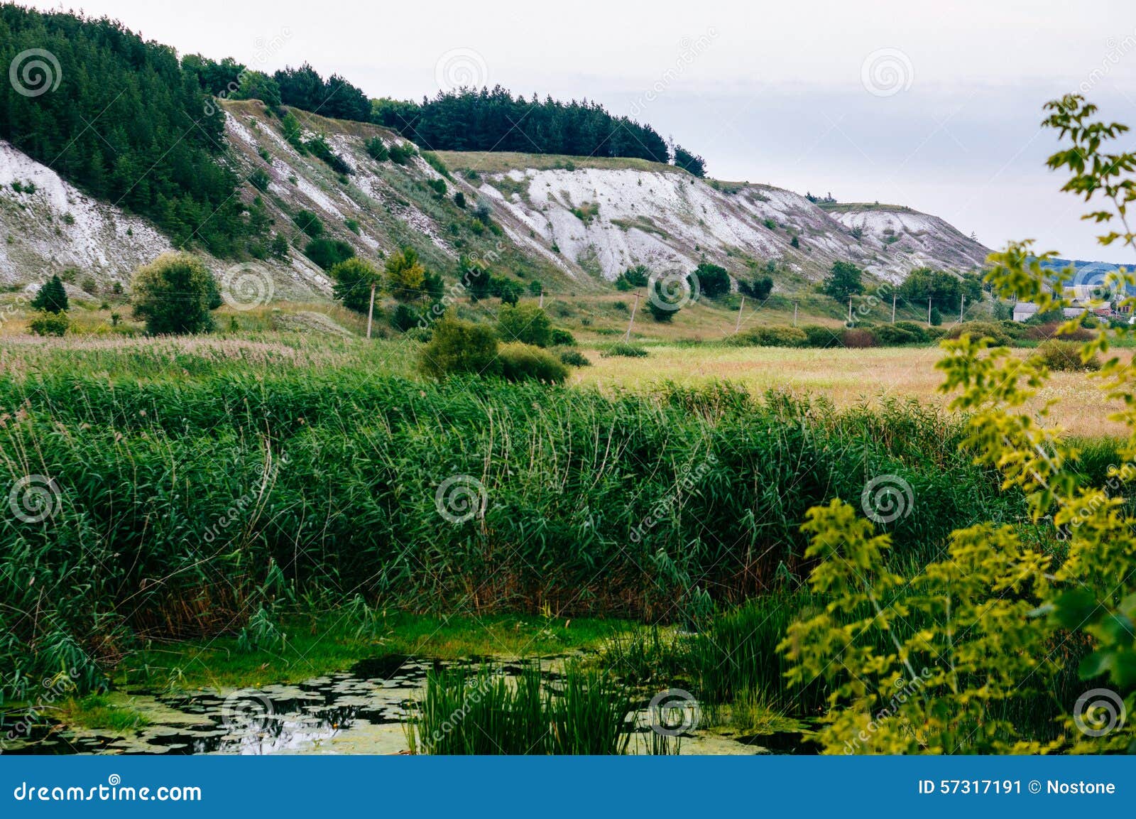 Landscape stock image. Image of vegetaion, landscape - 57317191