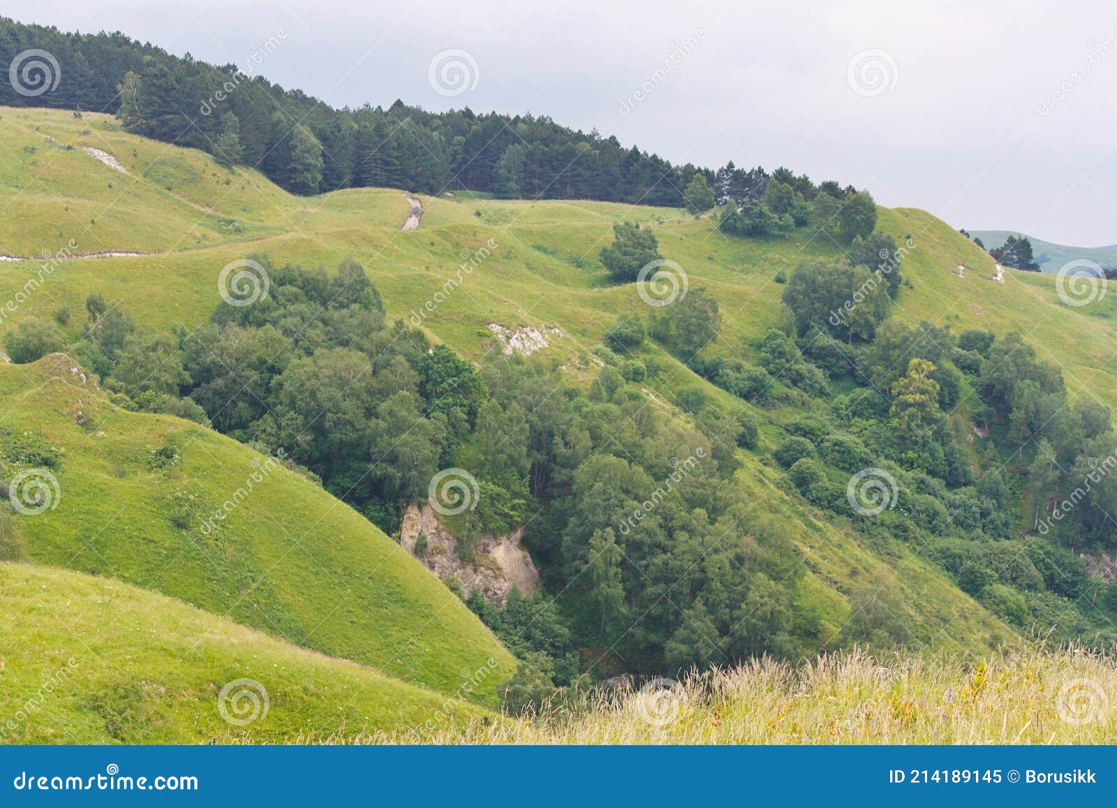 Landscape with Slopes, Meadows and Forests in Foothills of North ...