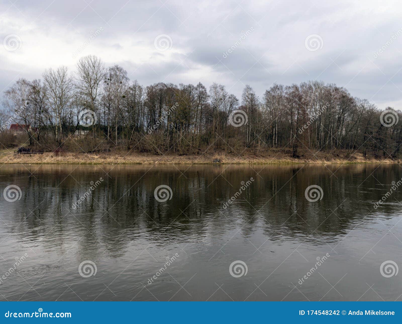 Landscape with Slow Flowing River Stock Photo - Image of outdoors, tree ...