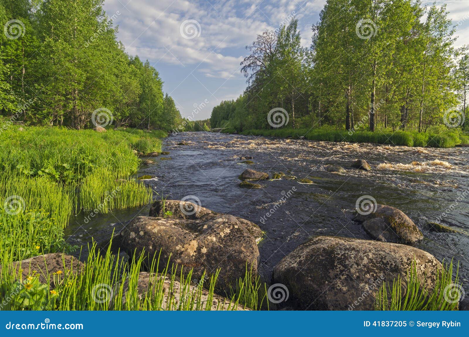 Vyg River Stock Photos - Free & Royalty-Free Stock Photos from Dreamstime