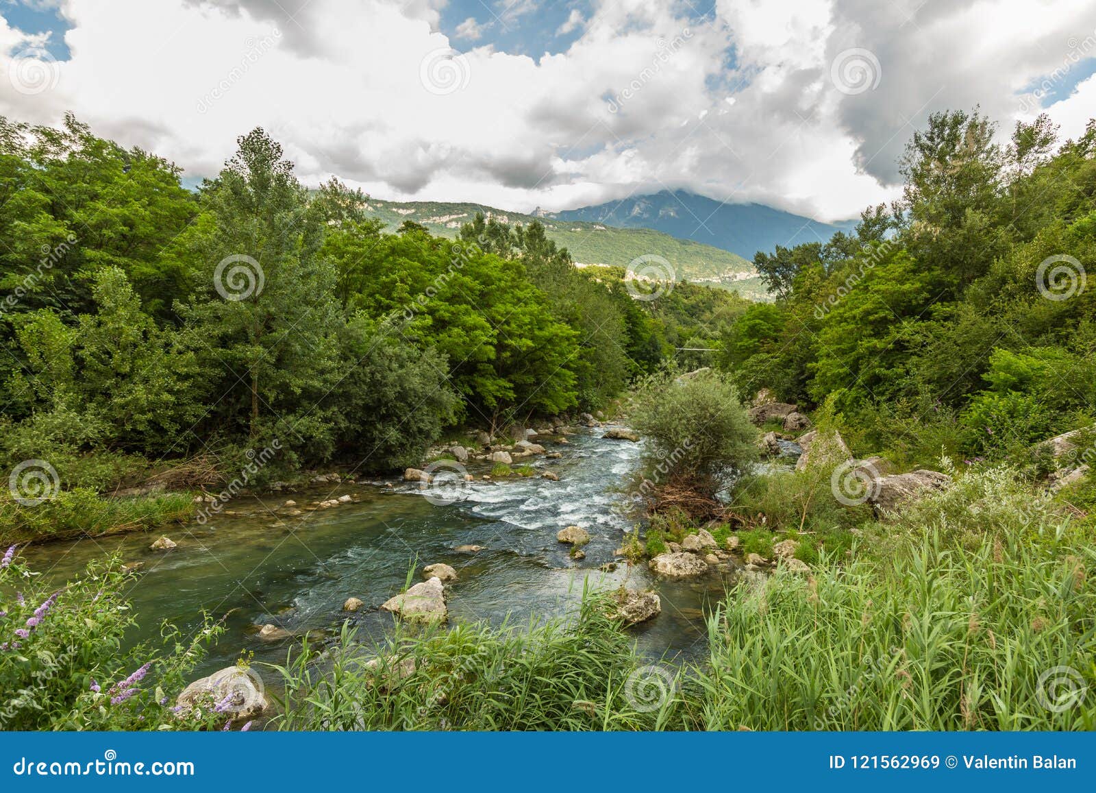 Small river with rocks. stock image. Image of leaf, rocks - 121562969