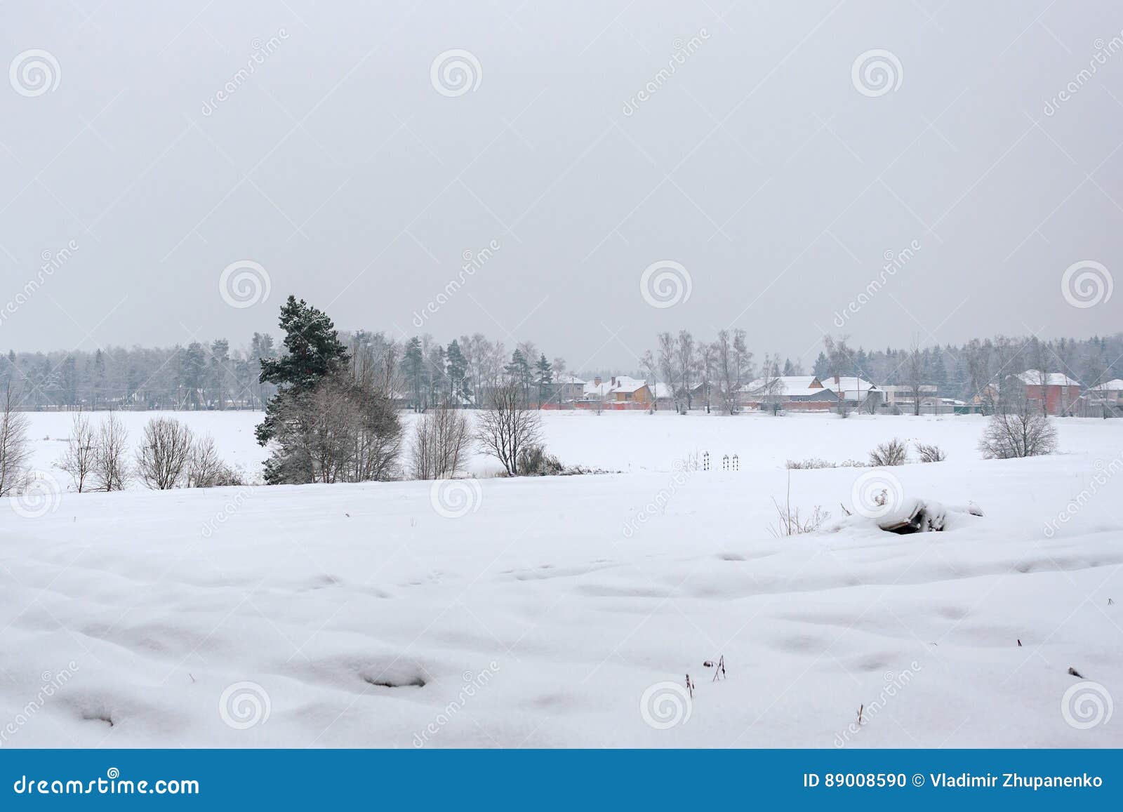 The Landscape is Snow-covered Field on a Cloudy Winter Day Stock Photo ...