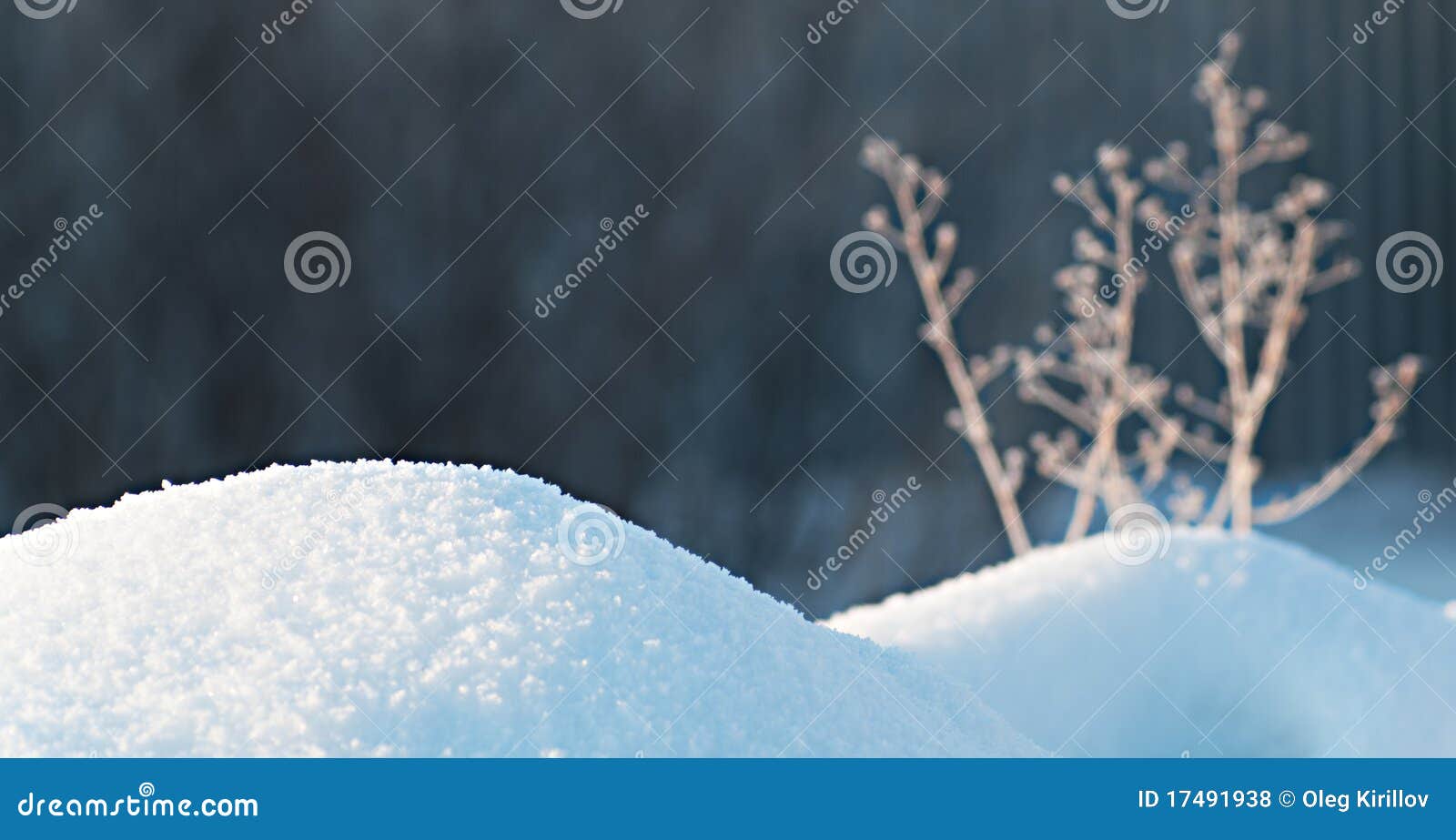 Landscape with snow drifts stock photo. Image of snowflake - 17491938