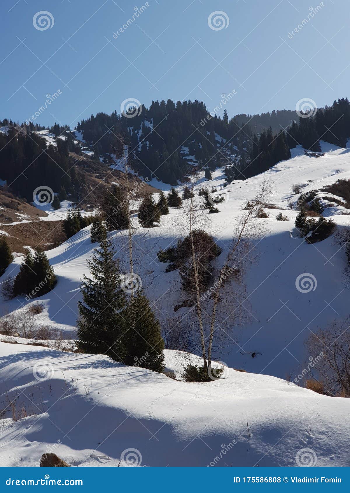 Snow in the Mountains in Early Spring. Stock Photo - Image of spring ...