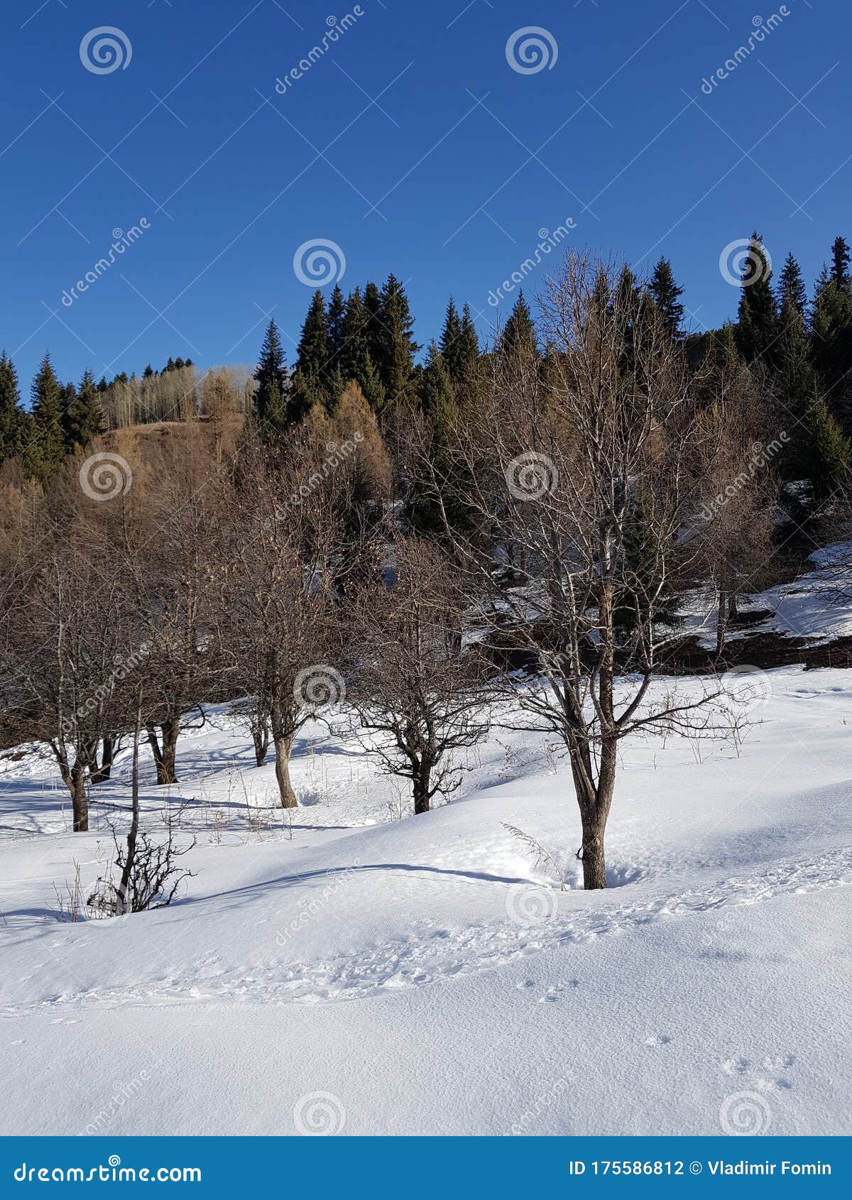 Snow in the Mountains in Early Spring. Stock Photo - Image of goran ...