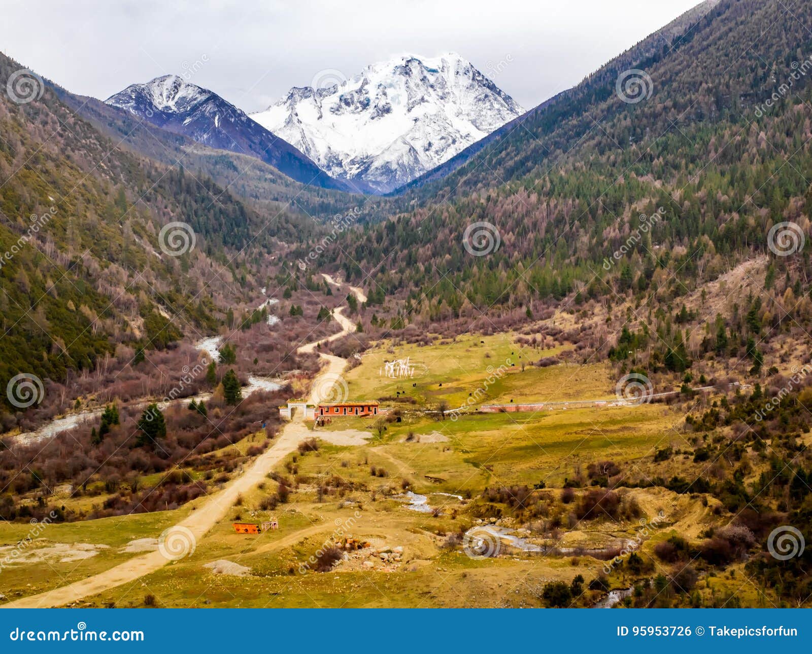 Landscape of Snow Mountain and Forest in Sichuan Stock Photo - Image of ...