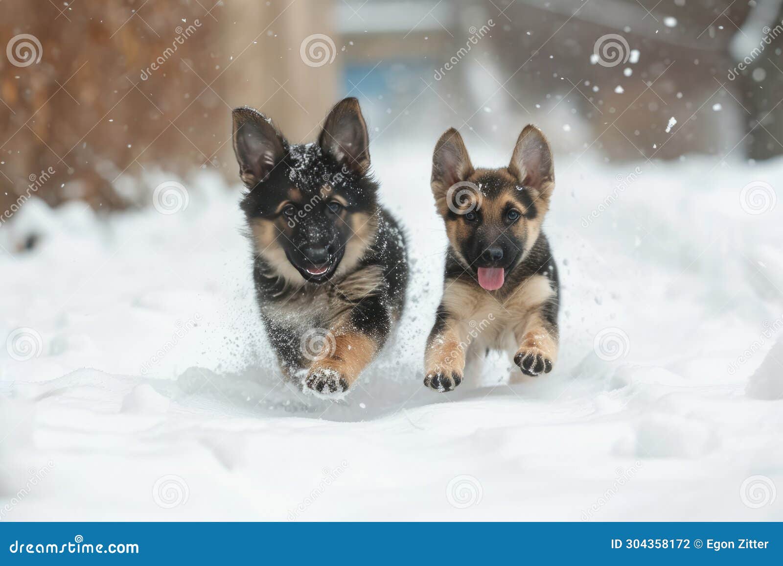 Small Animals in the Snow Playing Together Stock Illustration ...