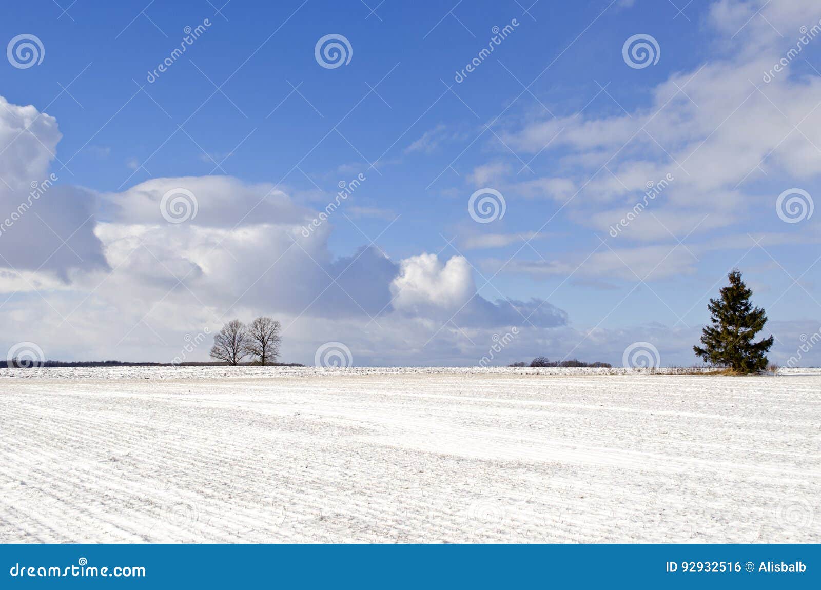 Landscape with Snowy Fields and Alone Fir Tree Stock Photo - Image of ...
