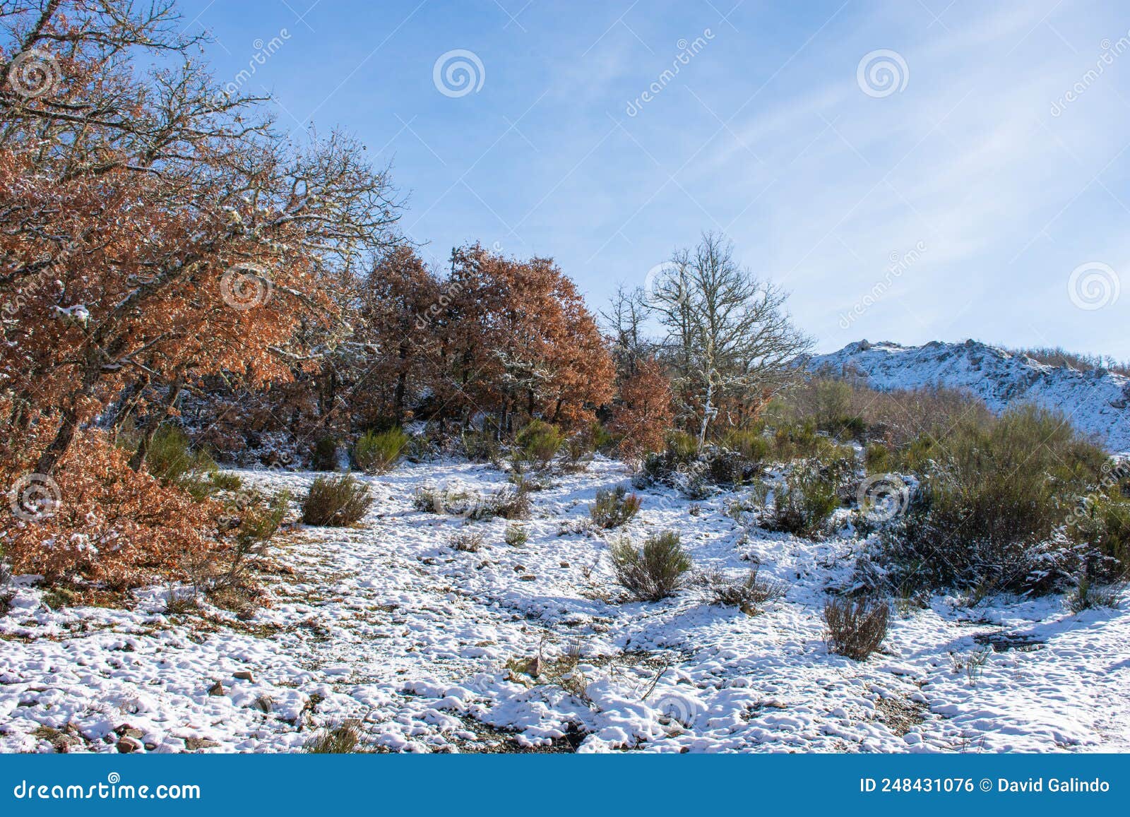 Landscape with Snowy Valley in the Mountains Stock Photo - Image of ...