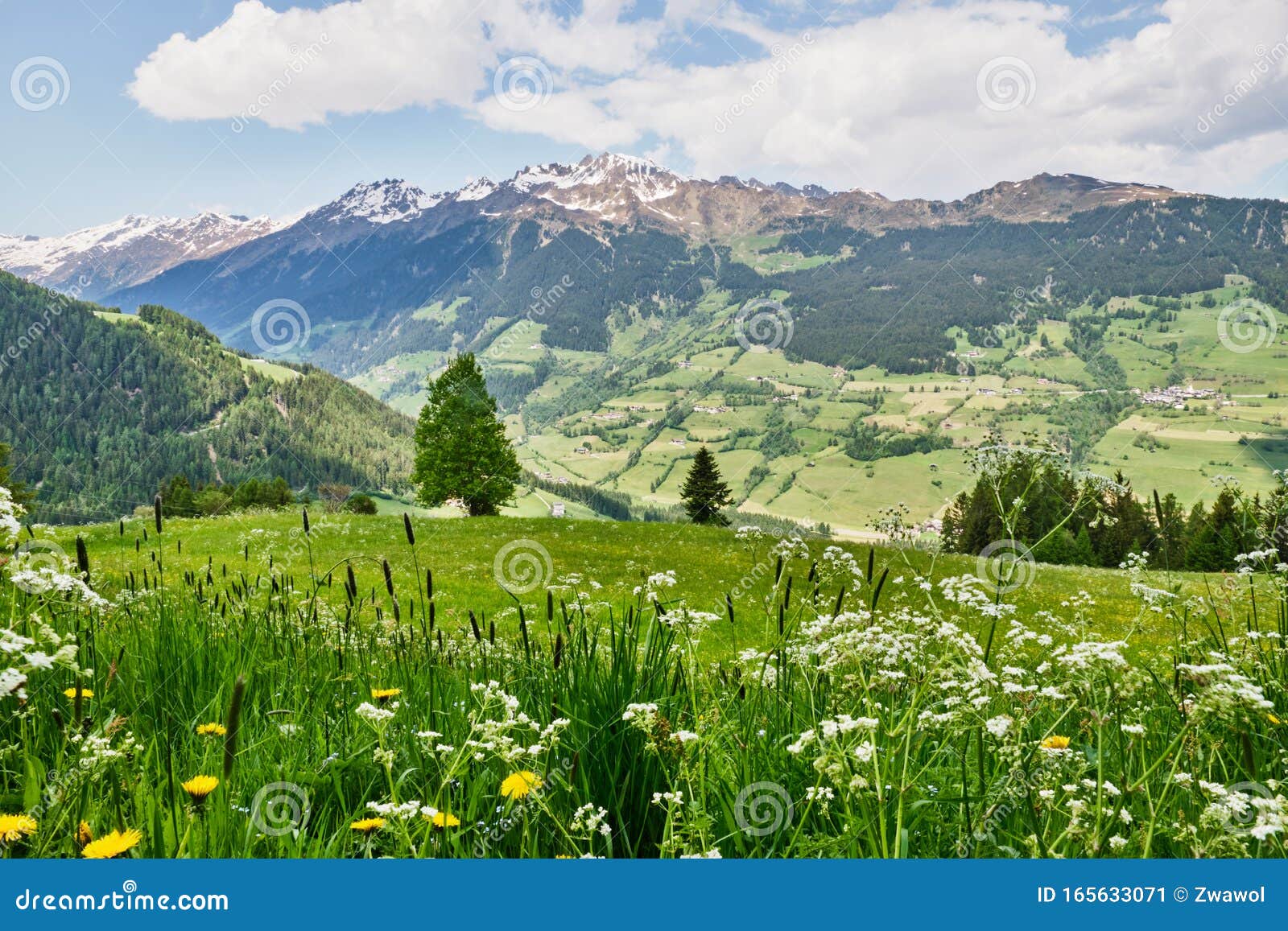 Landscape South Tirol stock image. Image of dolomiti - 165633071