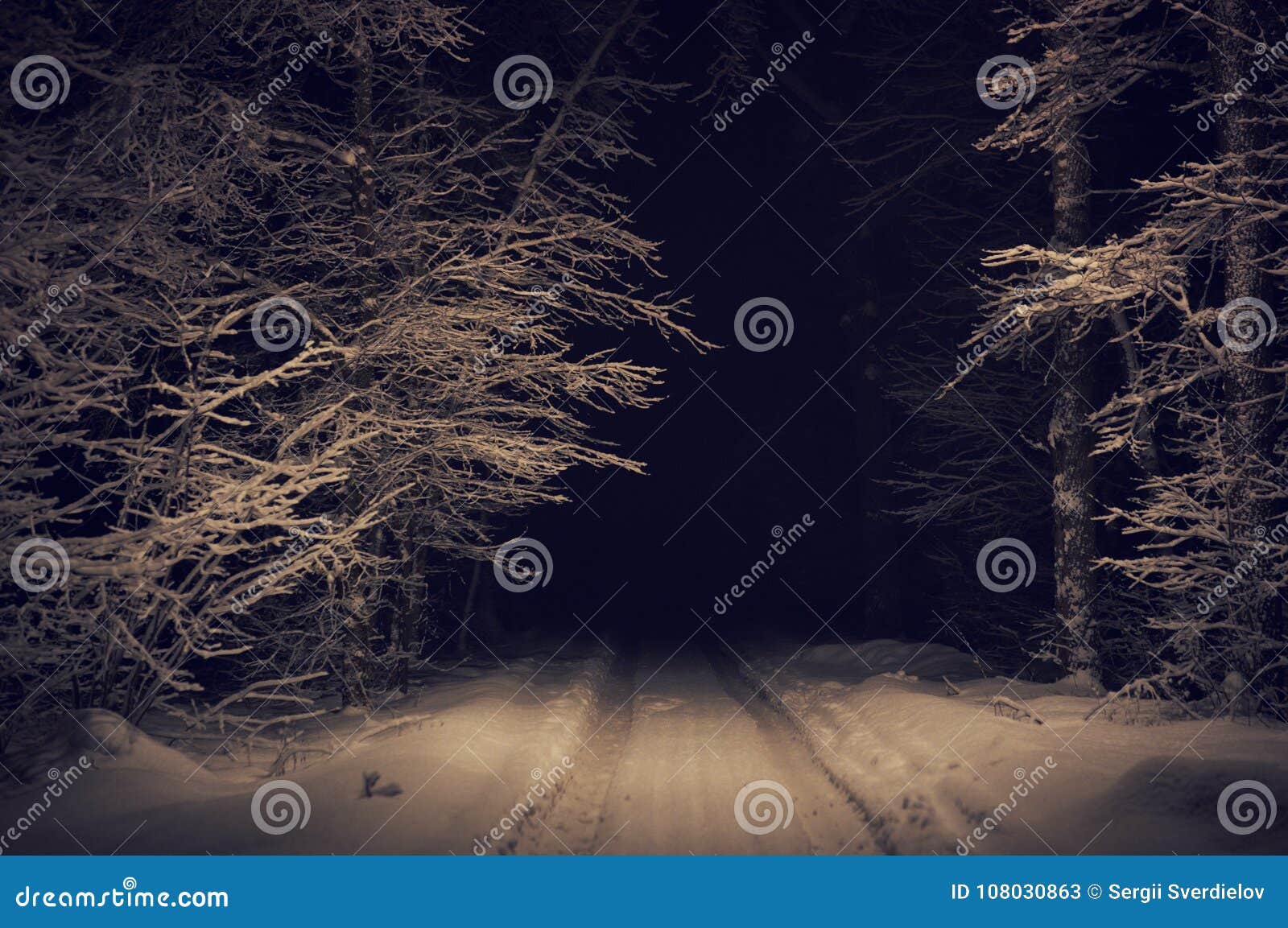 Landscape of Spooky Winter Forest Covered by Snow Stock Image - Image ...