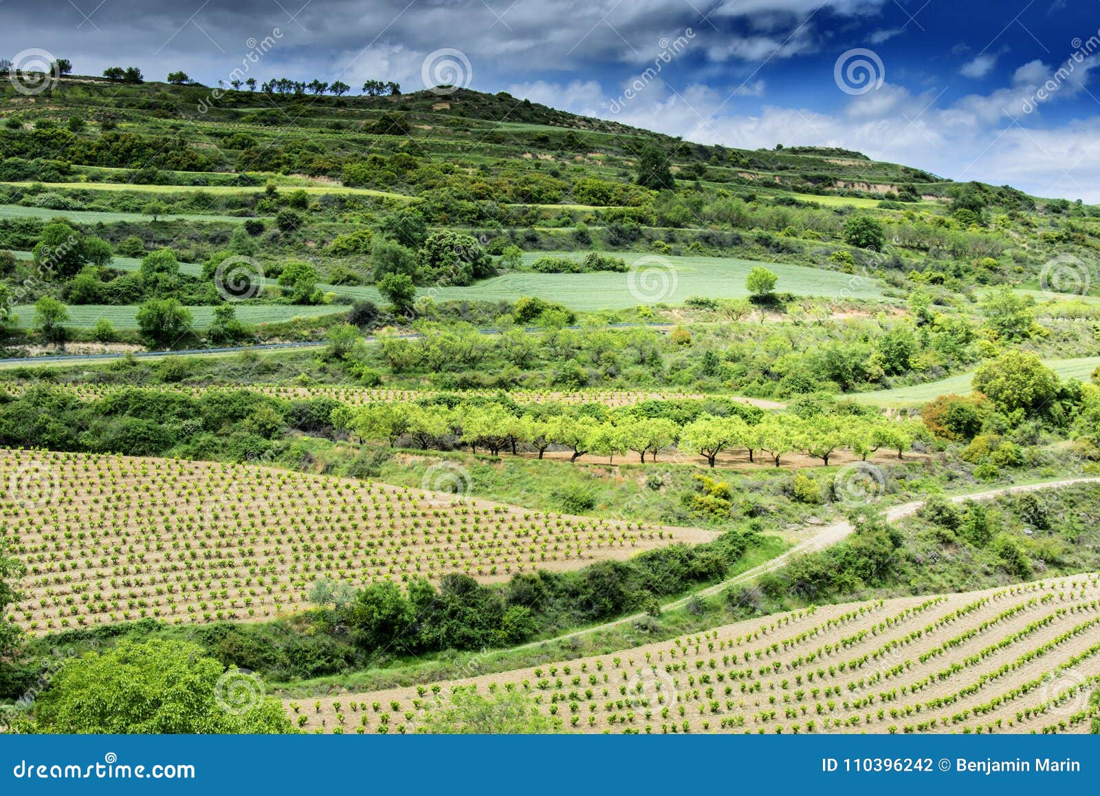 Landscape in spain stock photo. Image of field, environment - 110396242