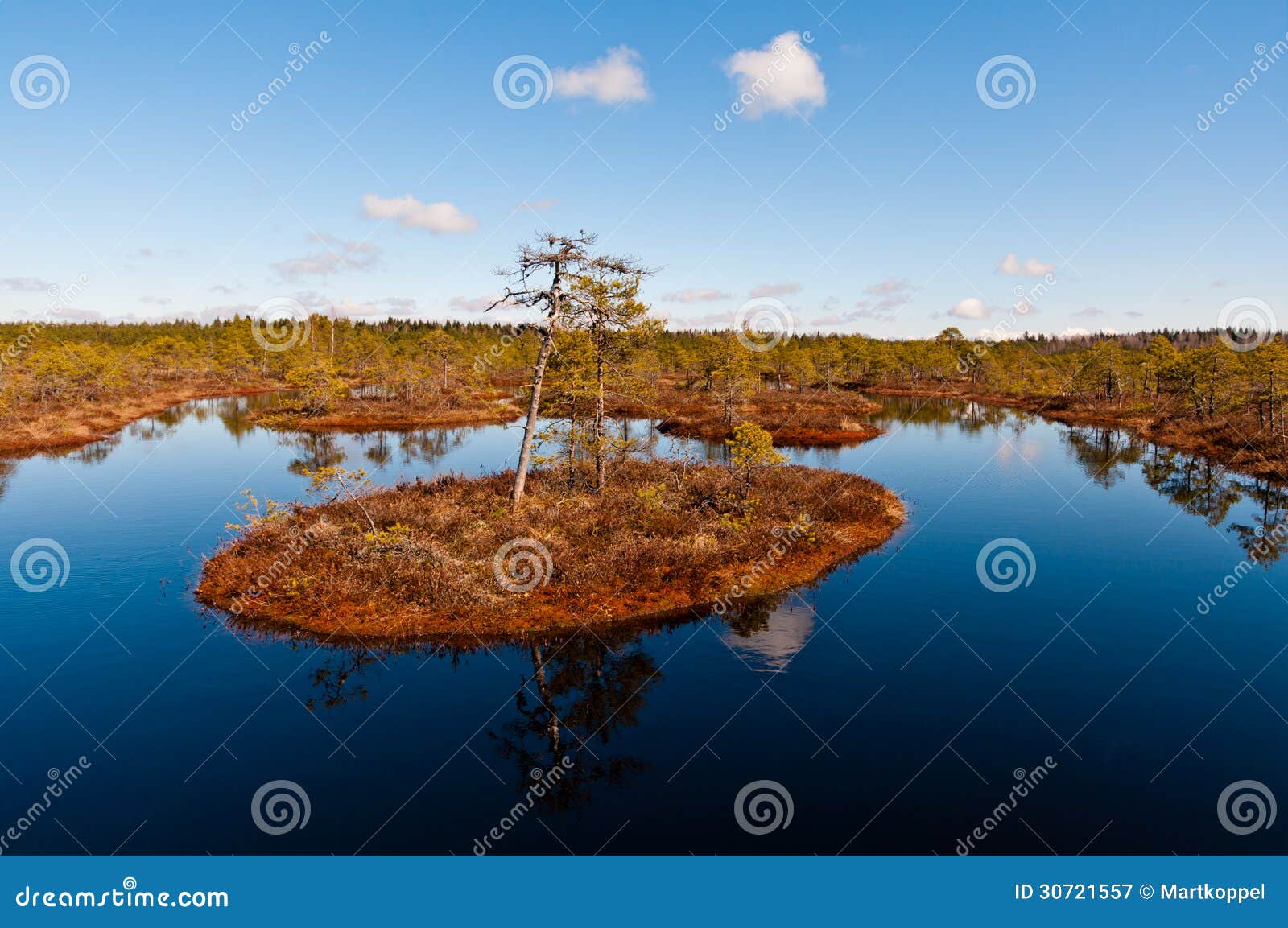 Landscape stock image. Image of calm, endla, color, honeymoon - 30721557