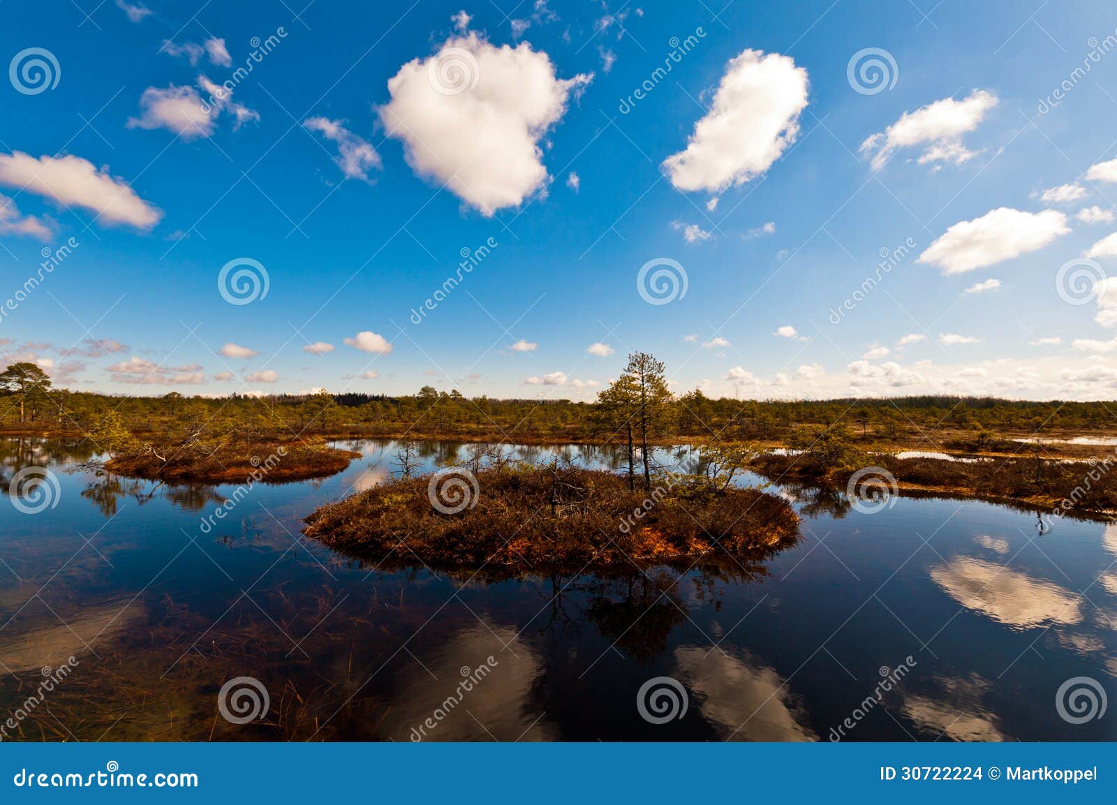 Landscape stock photo. Image of lonely, enviroment, estonia - 30722224