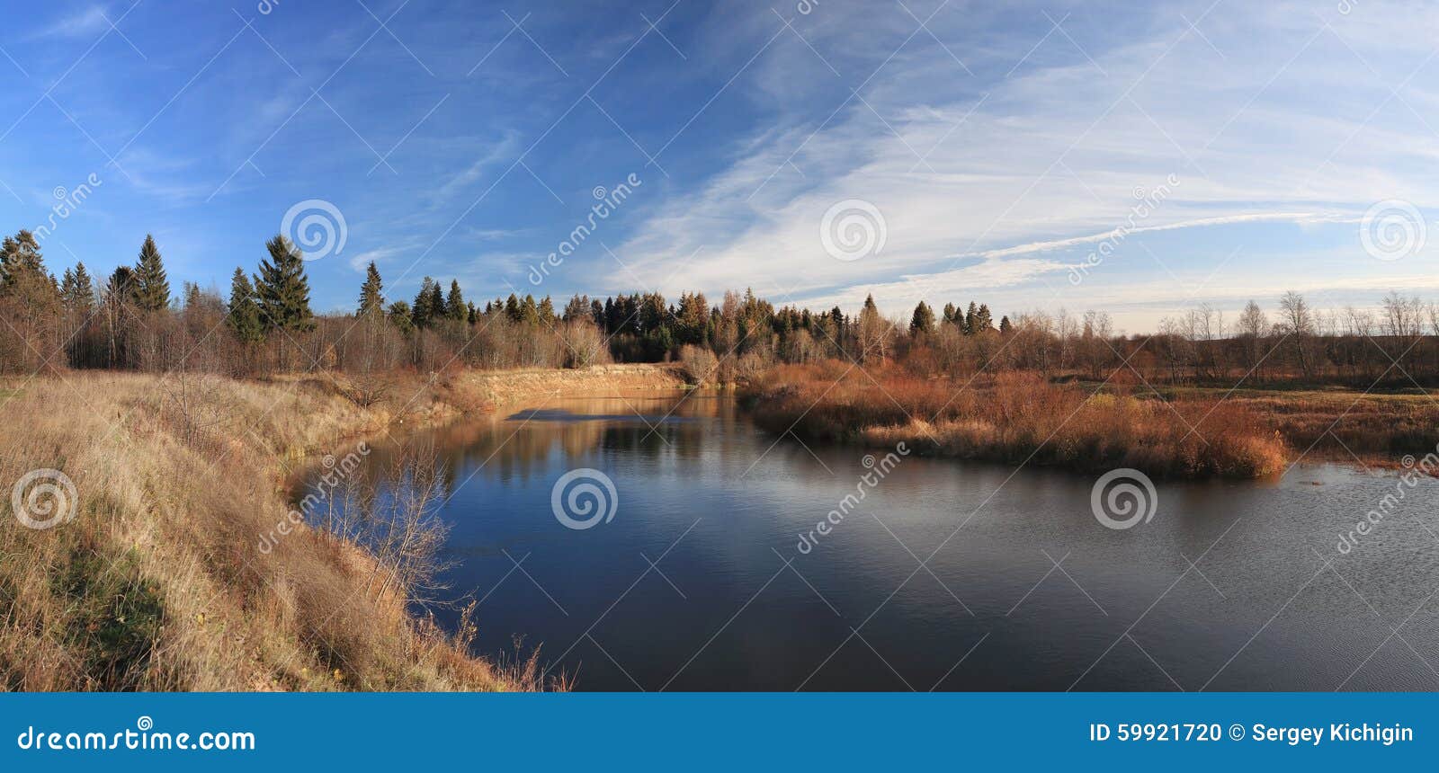 Landscape spring forest stock photo. Image of colored - 59921720