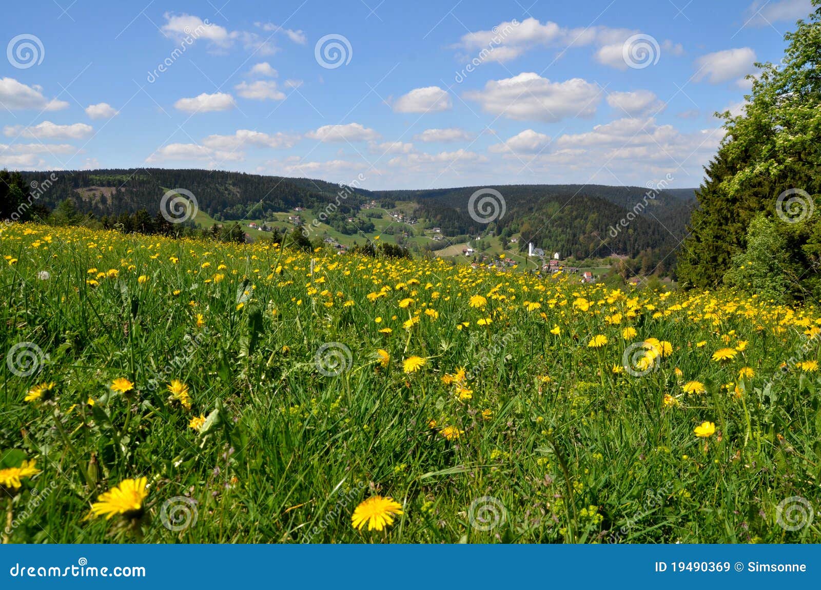 Landscape spring Germany stock image. Image of weather - 19490369