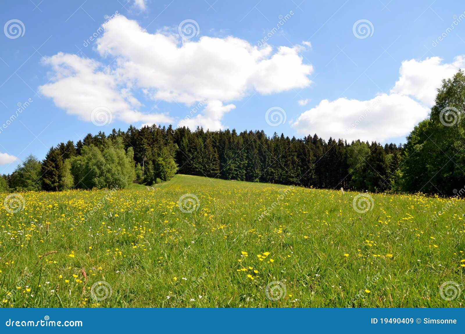 Landscape spring Germany stock image. Image of green - 19490409