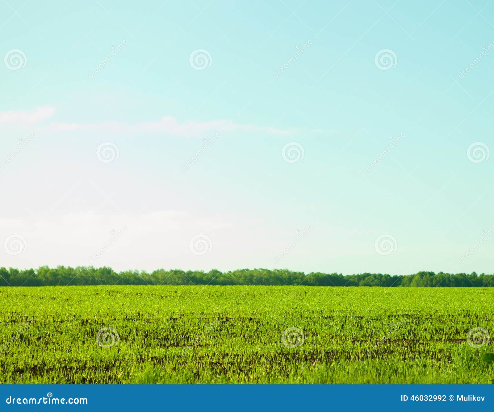 Landscape - Spring idyll stock photo. Image of scenics - 46032992