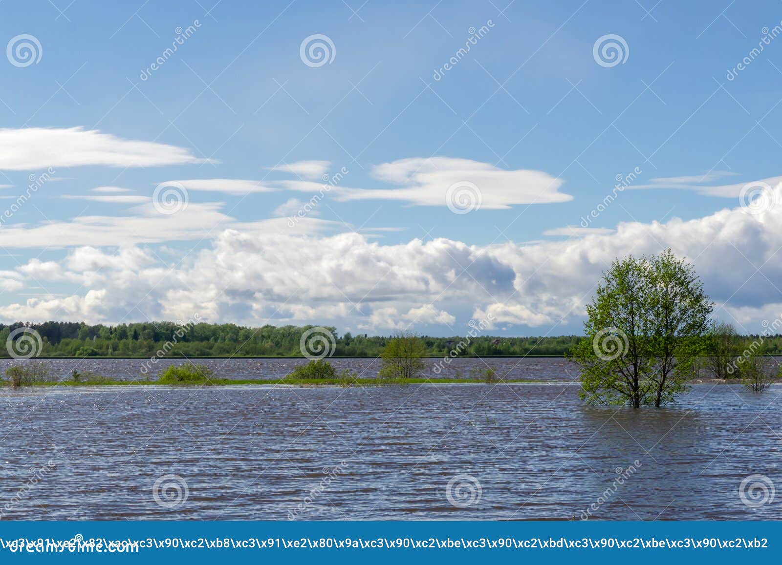 Spring River during High Water Stock Photo - Image of nature, high ...