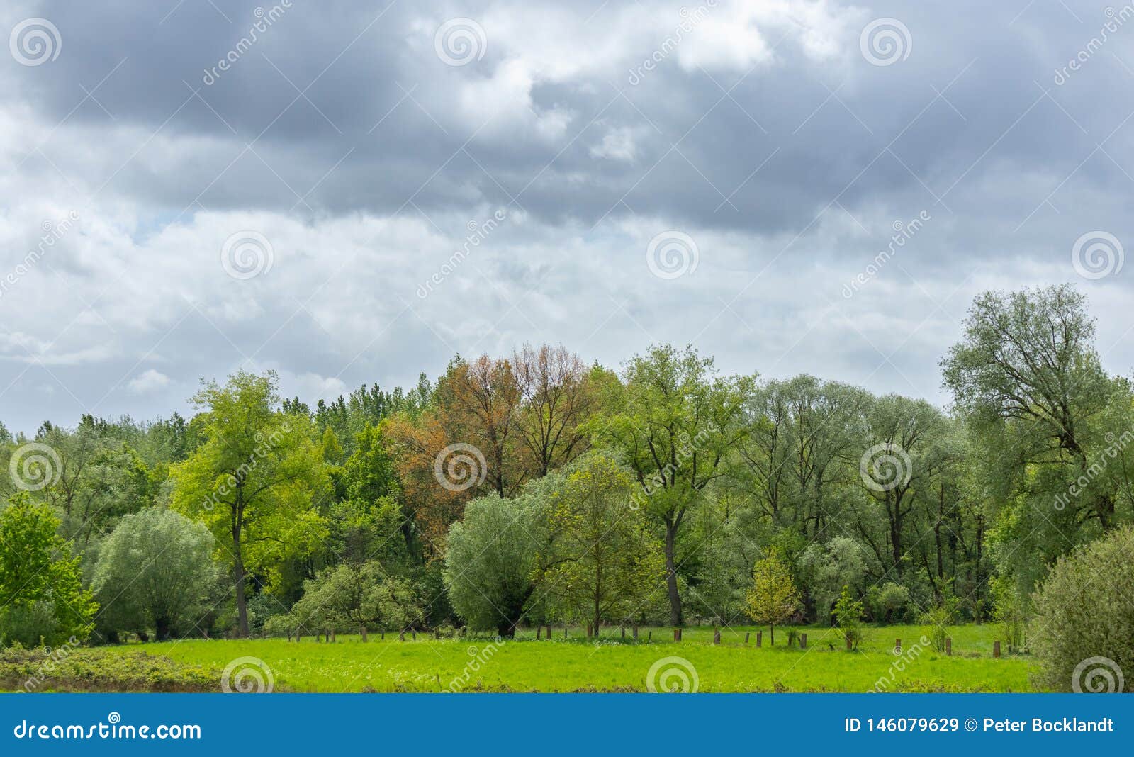 Landscape during Spring on a Stormy Day Stock Image - Image of ecology ...