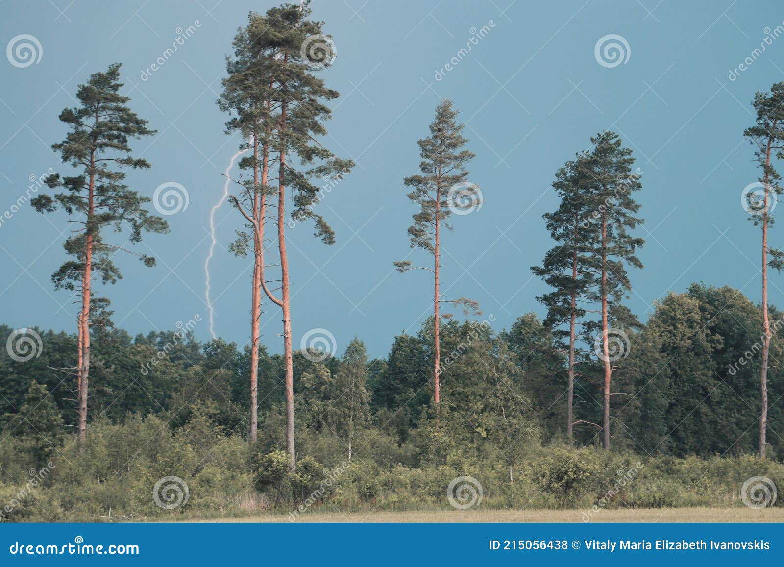 Landscape, Storm, Lightning, Not Weather, Rain, Storm, Thunderstorm ...