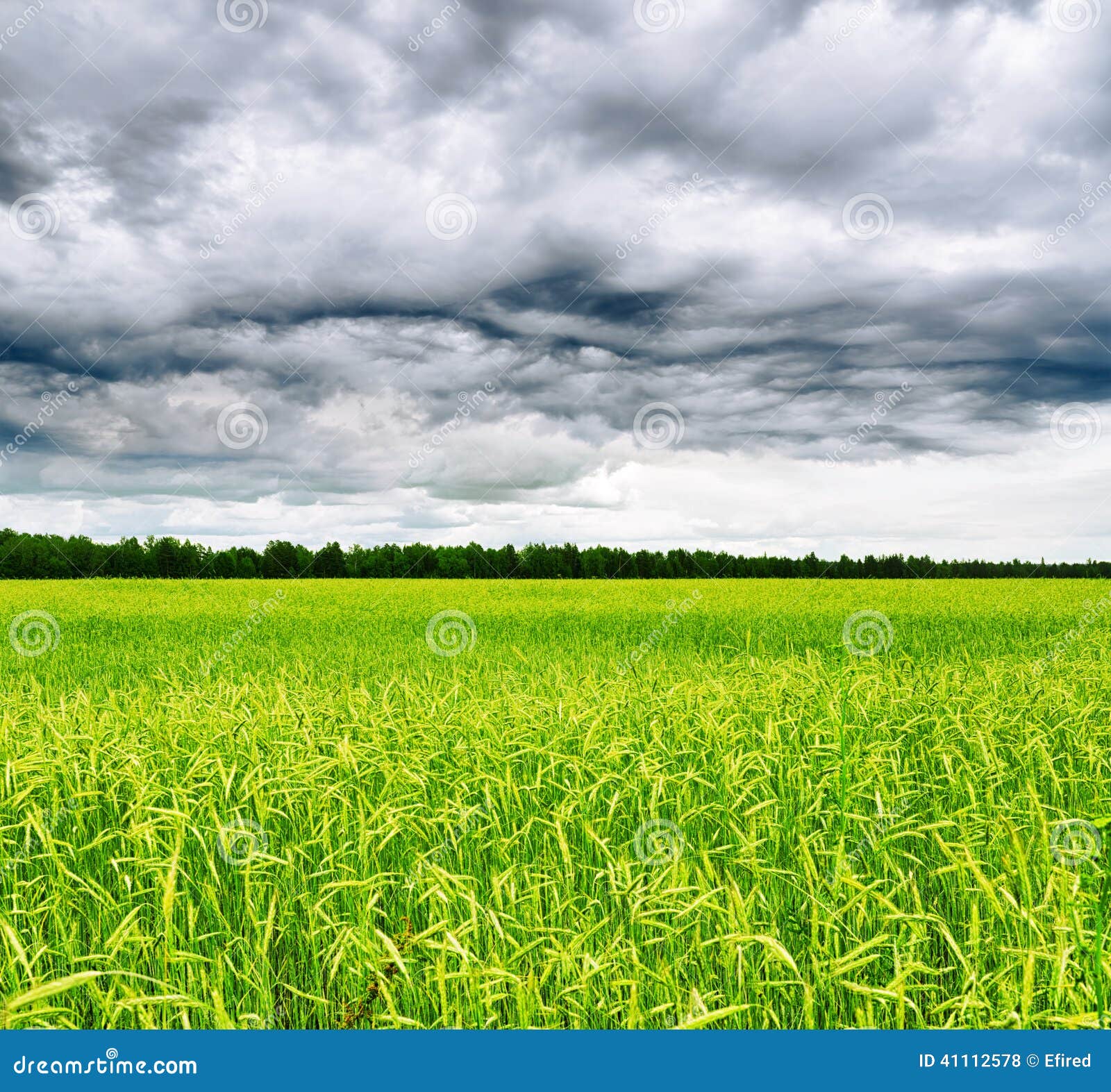 Stormy Sky Over Green Field Stock Photo - Image of natural, field: 41112578