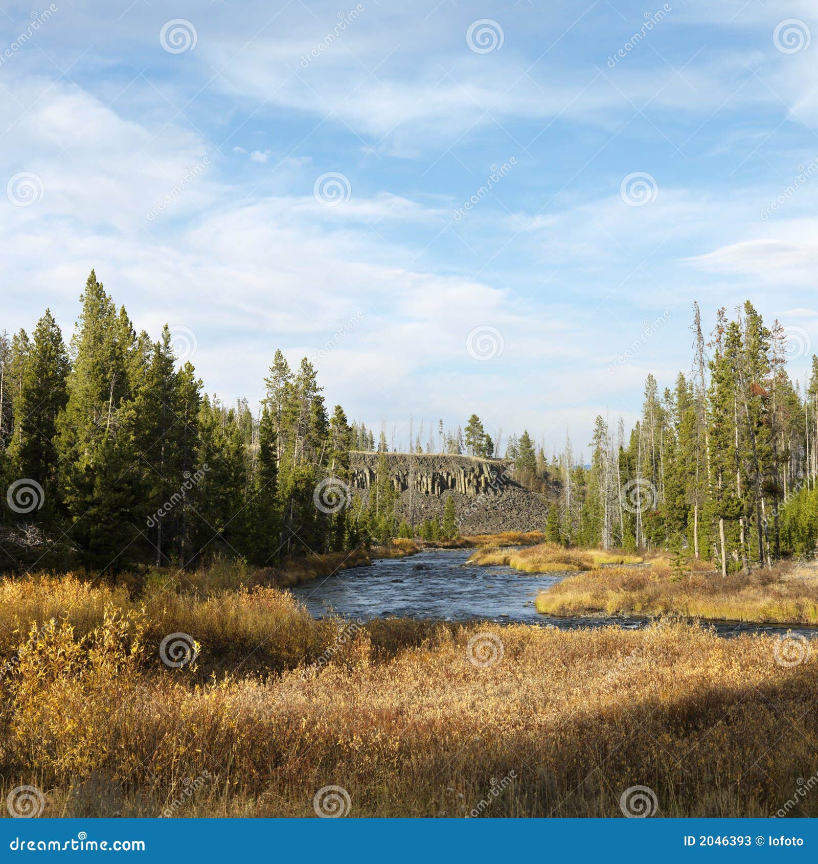 Landscape with stream. stock image. Image of color, photograph - 2046393