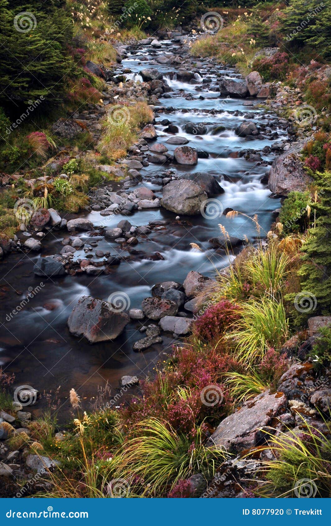Landscape of stream stock photo. Image of diagonal, beautiful - 8077920