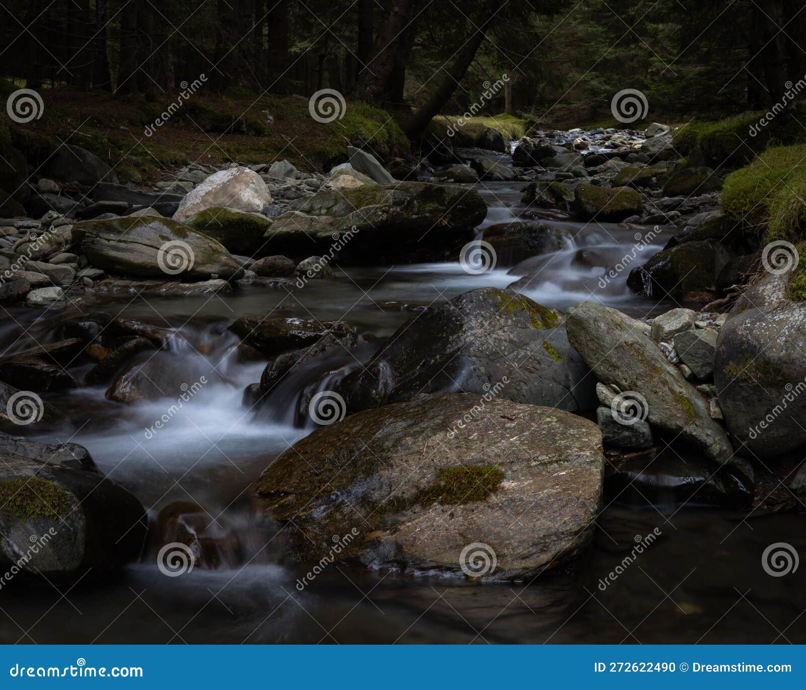 Landscape of a Stream with Long Exposure in a Forest Covered in Rocks ...