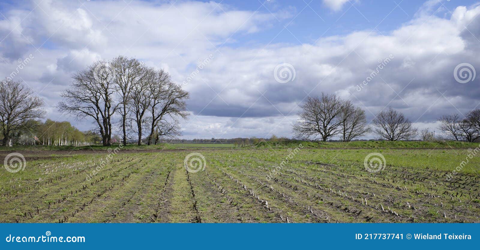 Landscape with Subtle Changes. a Border between Two Countries Stock ...