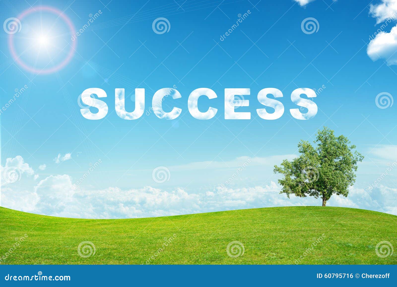 Landscape with Success Word Stock Photo - Image of tree, success: 60795716
