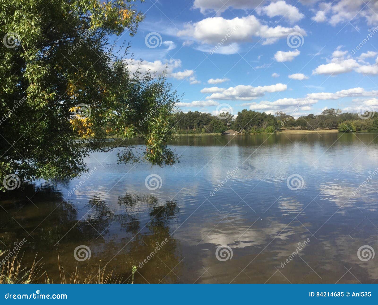 Landscape on a summer day stock image. Image of sunny - 84214685