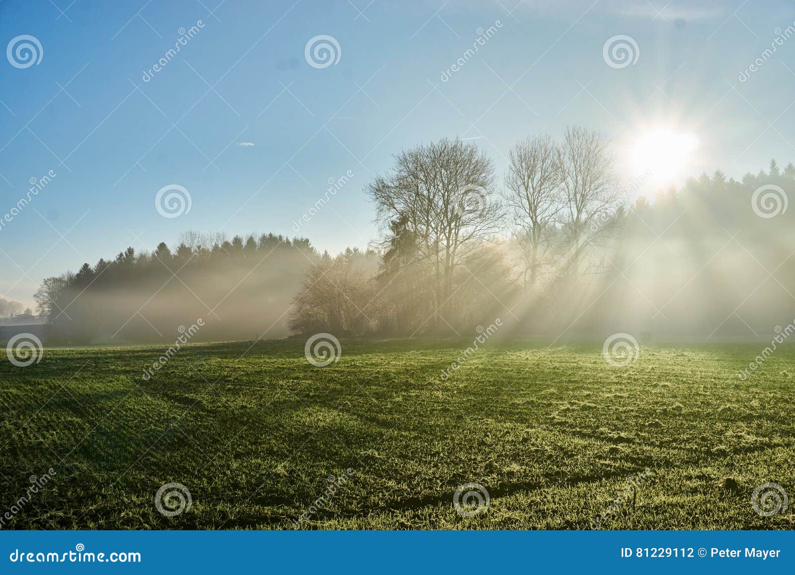 Landscape with Sun Rays through Fog Stock Photo - Image of forest, rays ...