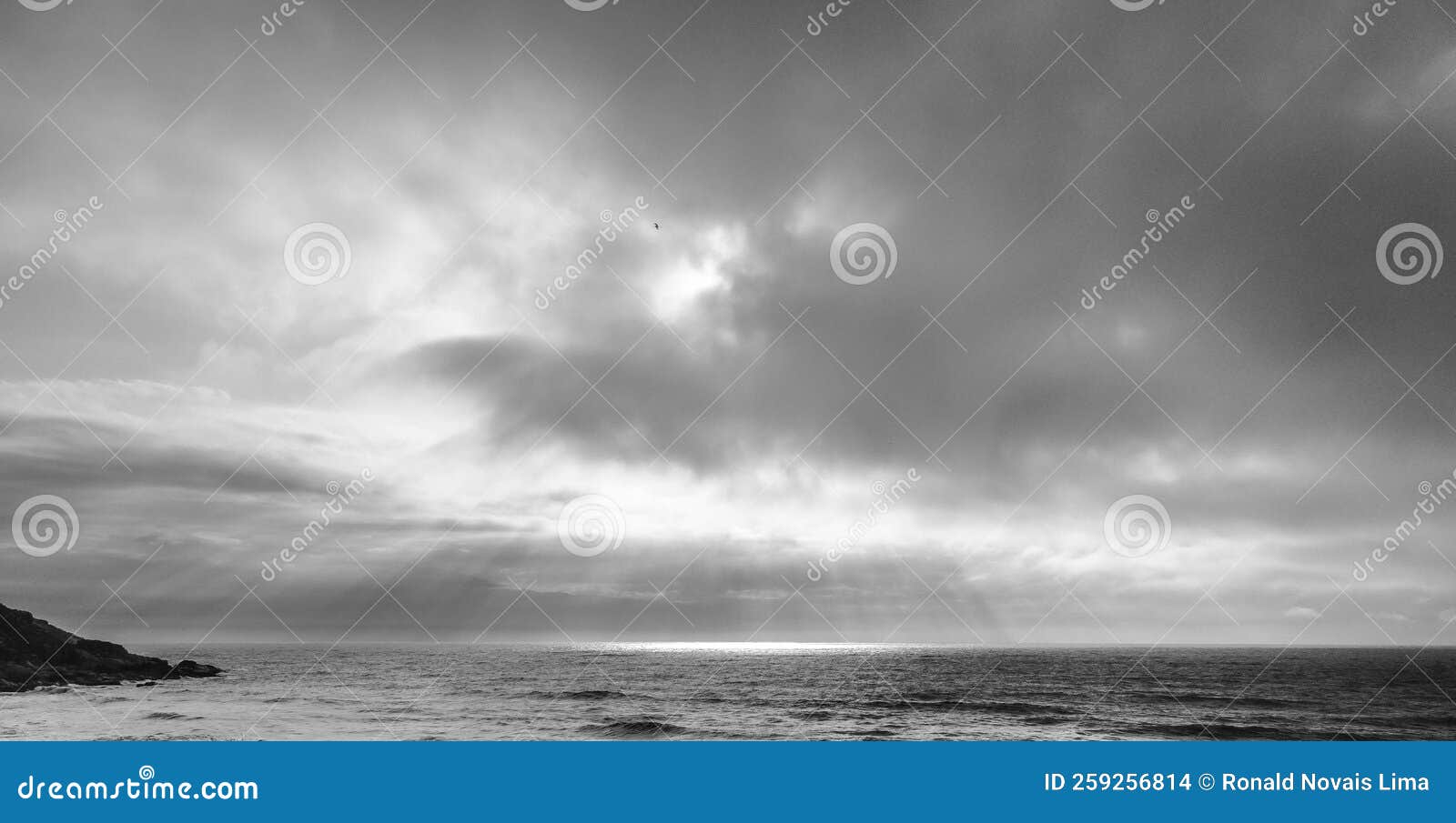 Landscape of sun rays stock photo. Image of monochrome - 259256814