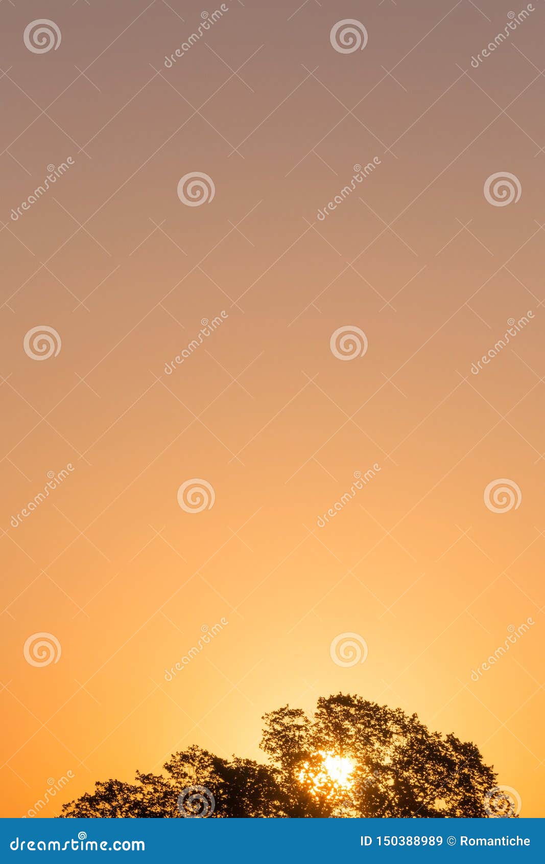 Landscape with Sun Rising Behind Tree Stock Image - Image of gradient ...