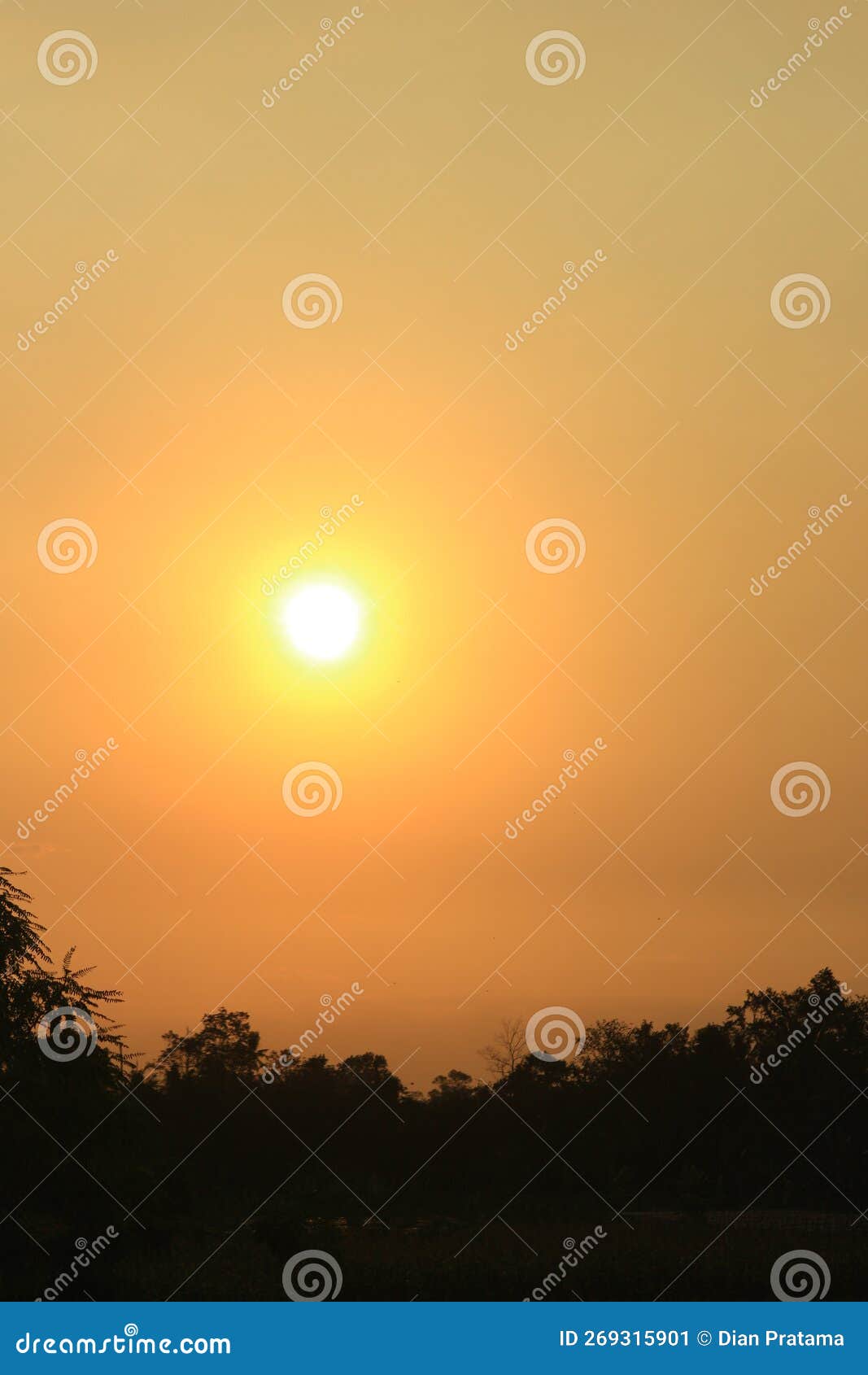 Landscape the Sun Shines Brightly before Setting Stock Image - Image of ...
