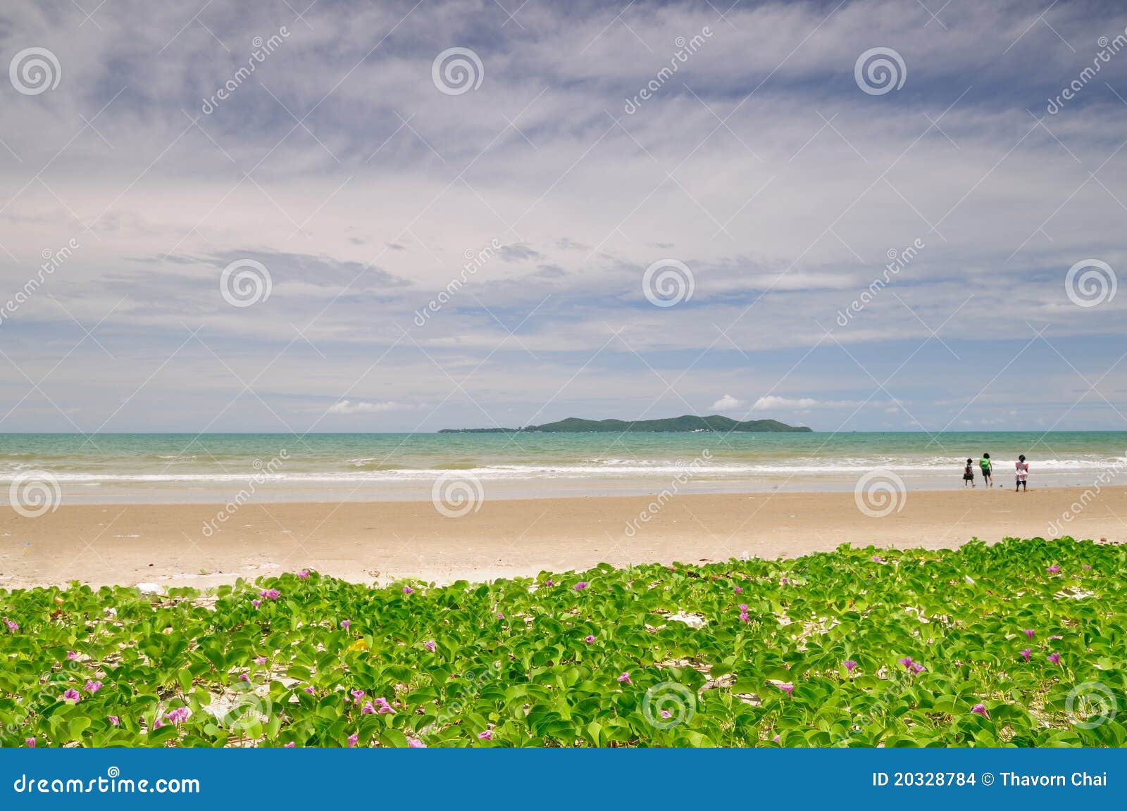 The Landscape of Sunny Beach Stock Photo - Image of asian, umbrella ...
