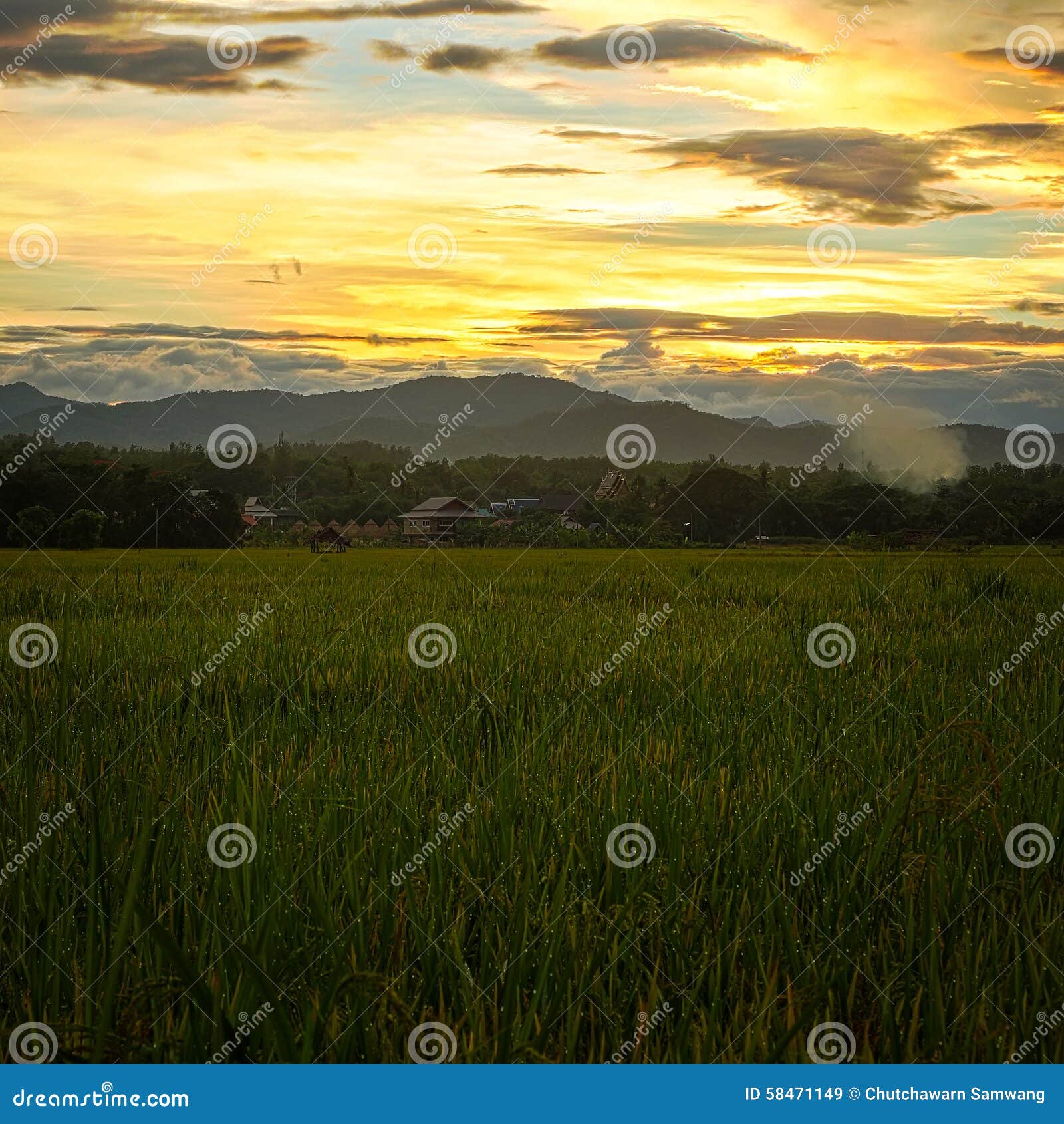 Landscape, Sunny Dawn in a Field Stock Image - Image of blue, land ...