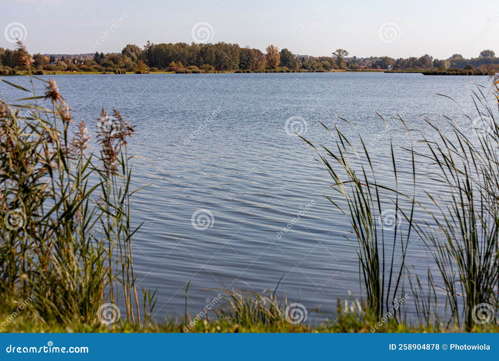 Landscape on a Sunny September Day by the Lagoon Stock Photo - Image of ...