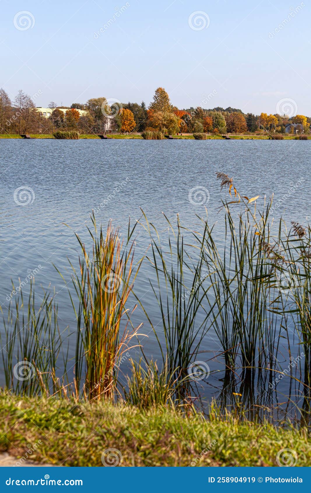 Landscape on a Sunny September Day by the Lagoon Stock Image - Image of ...